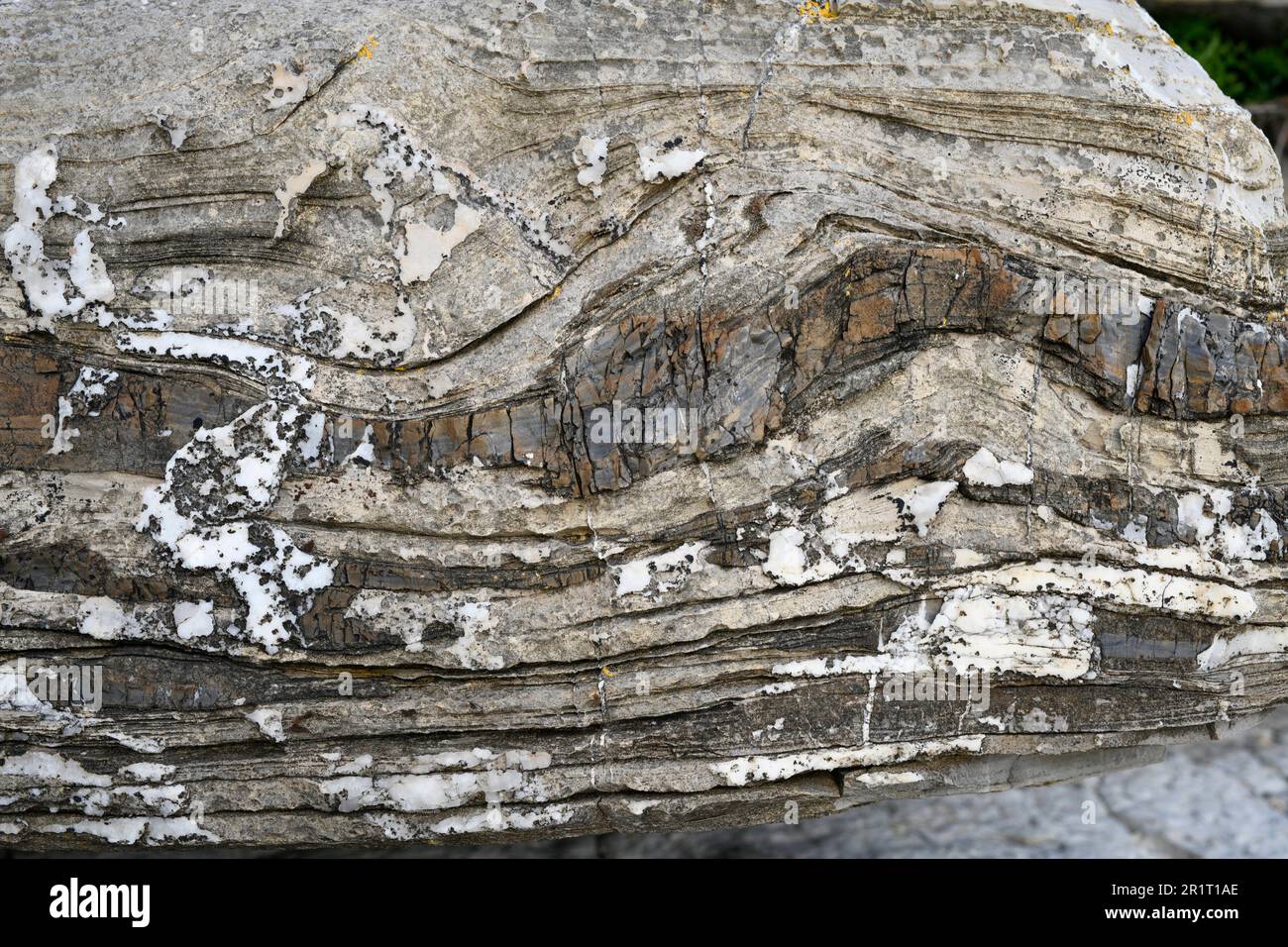 Nodule de silex hi-res stock photography and images - Alamy