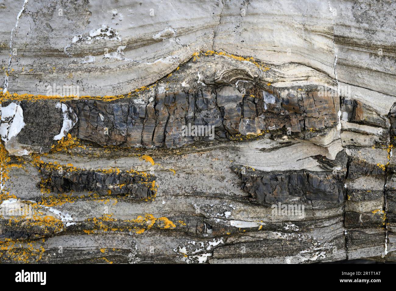 Nodule de silex hi-res stock photography and images - Alamy