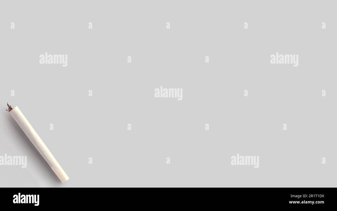 Handmade cigarette with pre-cut cigarette filter and tobacco paper ...