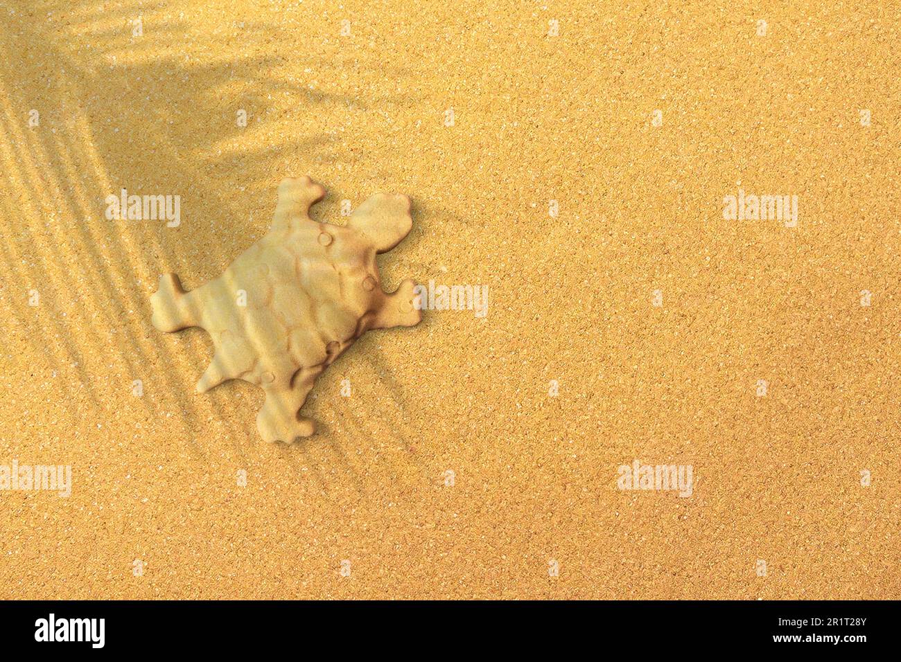 Turtle sand sclupture on a holiday beach made out of beachsand Stock ...