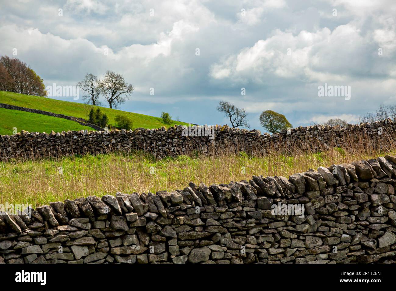 Drystone walls and trees with stormy sky near Sheldon in the Peak ...