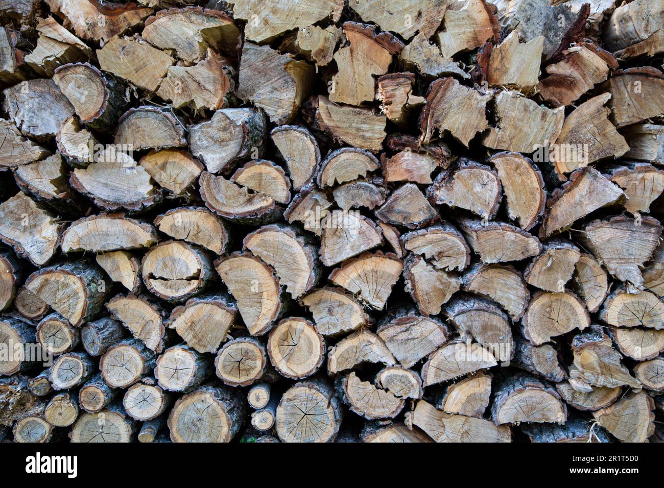 stack of firewood Stock Photo - Alamy