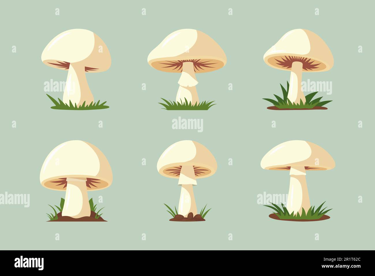 Vector Hand Drawn Mushroom Flat Icon Set Isolated. White Pale Grebe, Fly Agaric Sign Collection ...