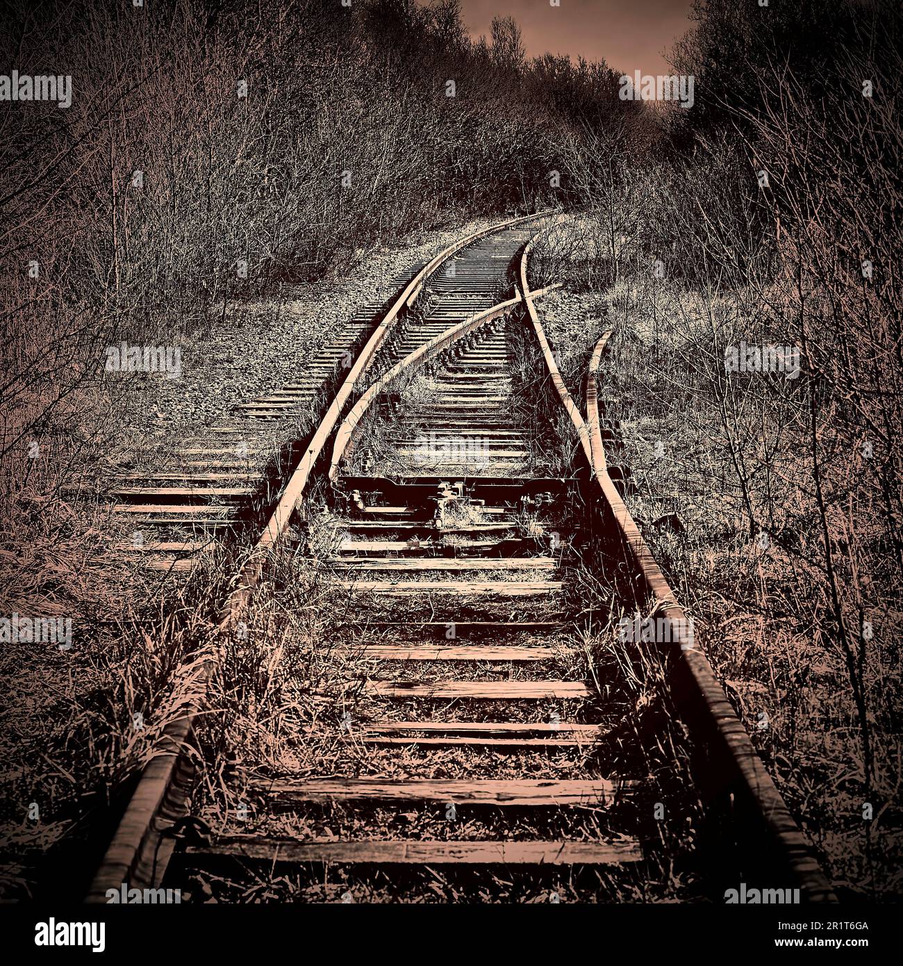 Overgrown railway track hi-res stock photography and images - Alamy