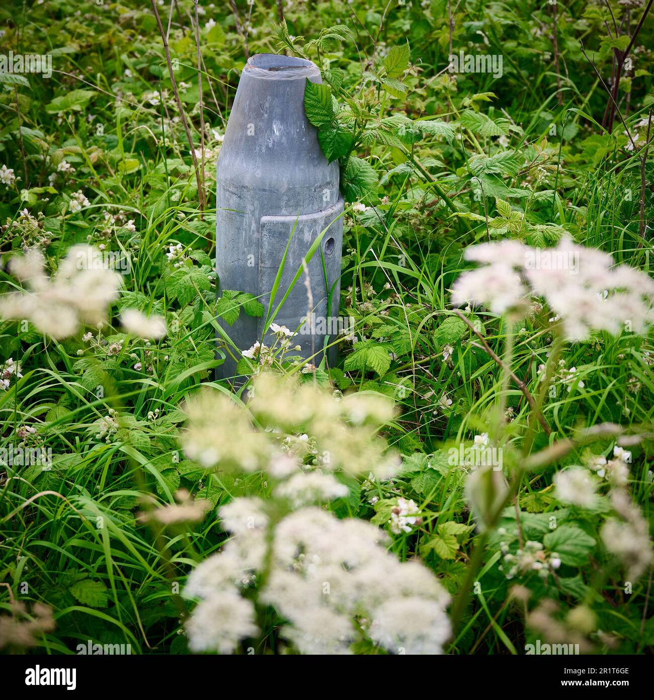 Base of old street lamp post buried by overgrown vegetation Stock Photo ...