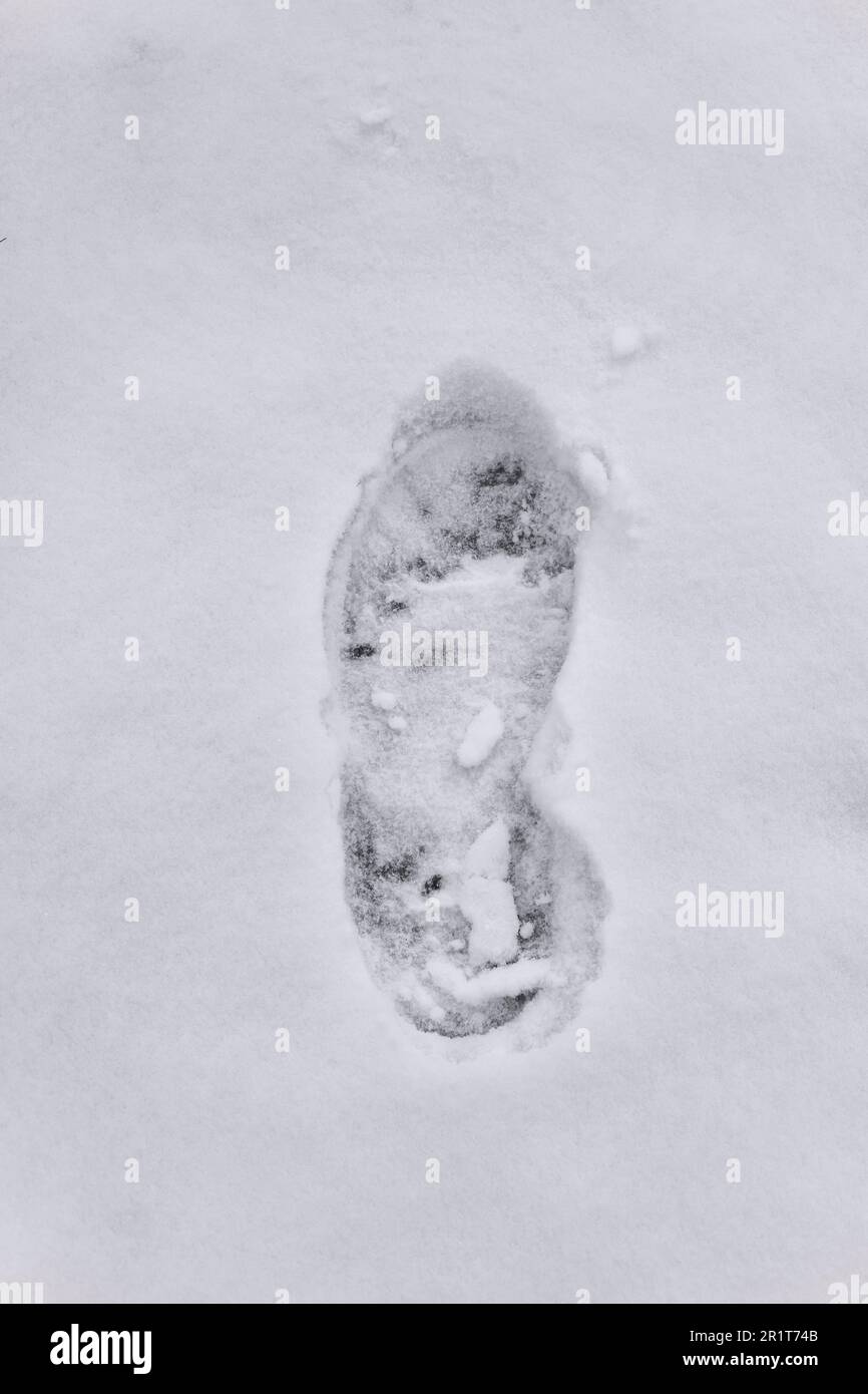 One left foot shoe print in the fresh snow, footprint, man's footstep ...
