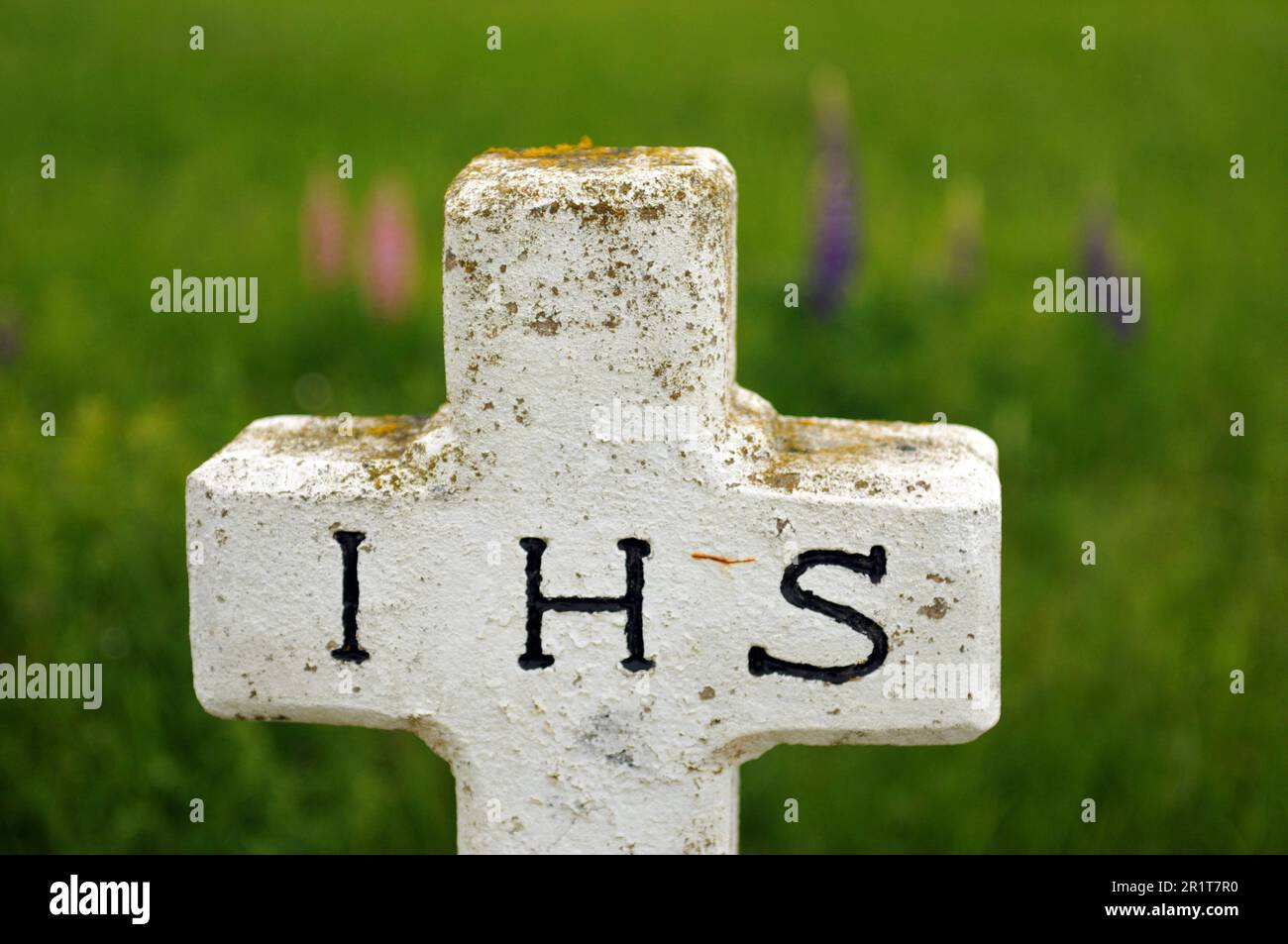 A white stone cross with the letters IHS marks a grave in a Roman ...