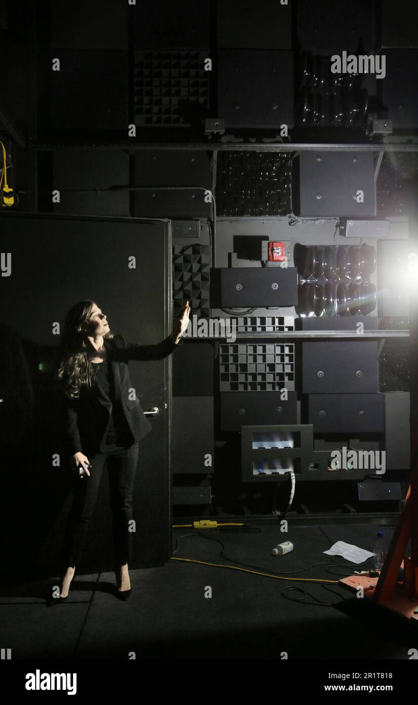 Poppy Crum, head scientist, stands in the Sensory Immersion lab, at the ...