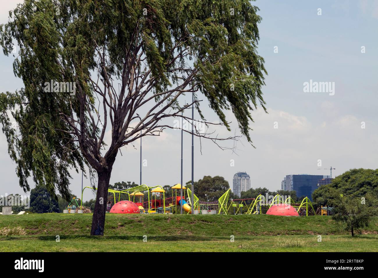 Very large and wide tree hi-res stock photography and images - Alamy