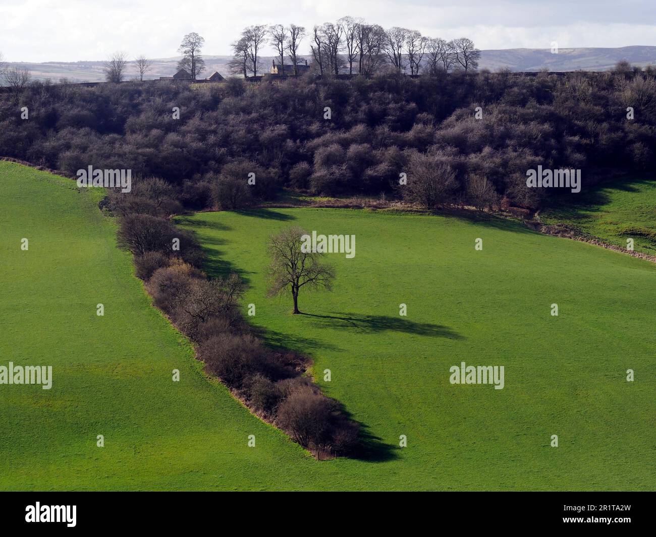 Green fields and trees near Longnor, Peak District, England Stock Photo ...