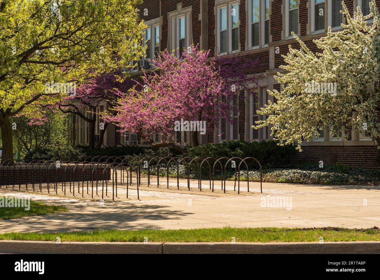 East Lansing MI - May 14, 2022: Empty bicycle rack on the Michigan ...