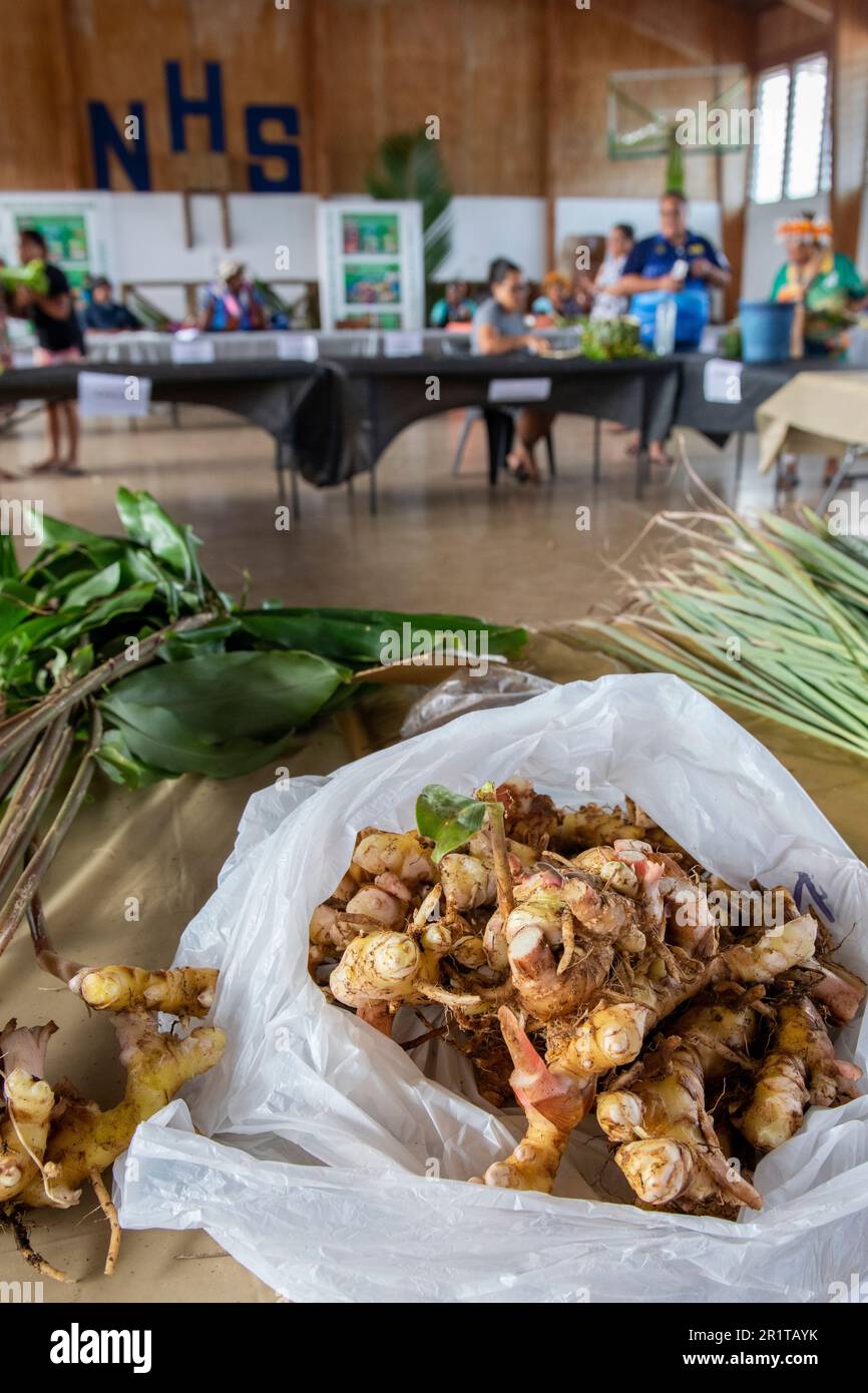 Niue, commonly known as The Rock or The Rock of Polynesia. Annual Kai ...