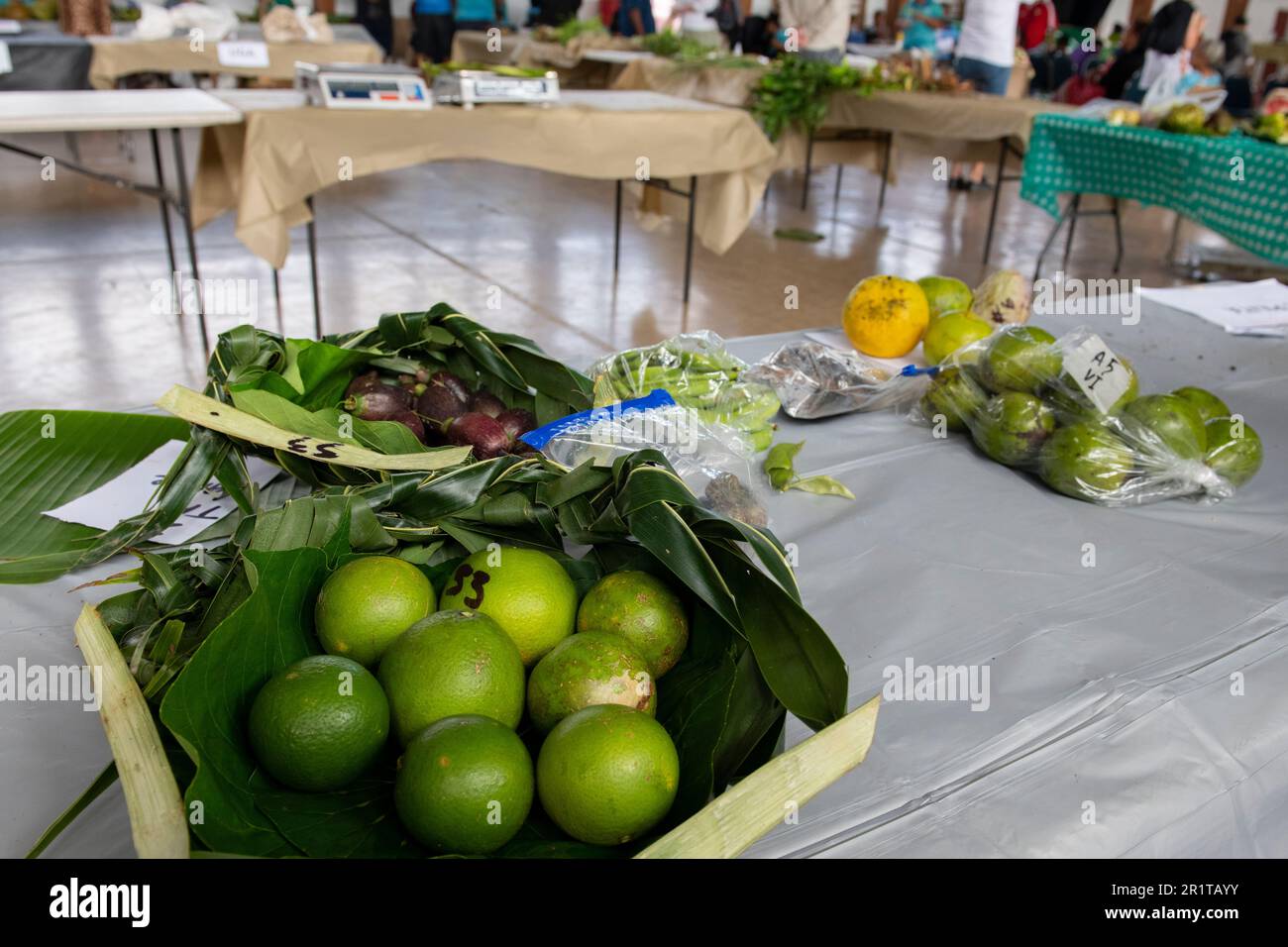 Typical new zealand home hi-res stock photography and images - Alamy