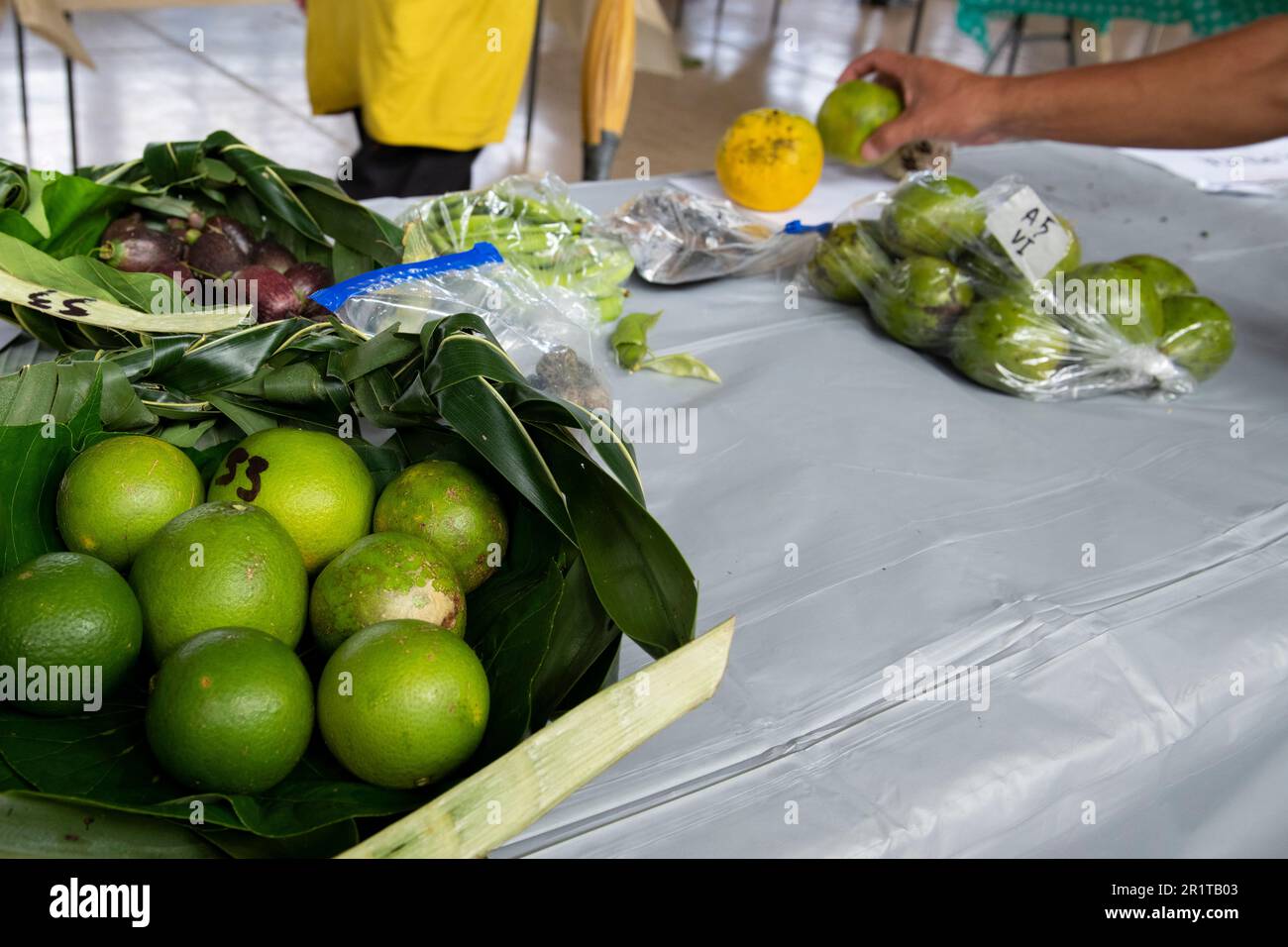 Niue, commonly known as The Rock or The Rock of Polynesia. Annual Kai ...