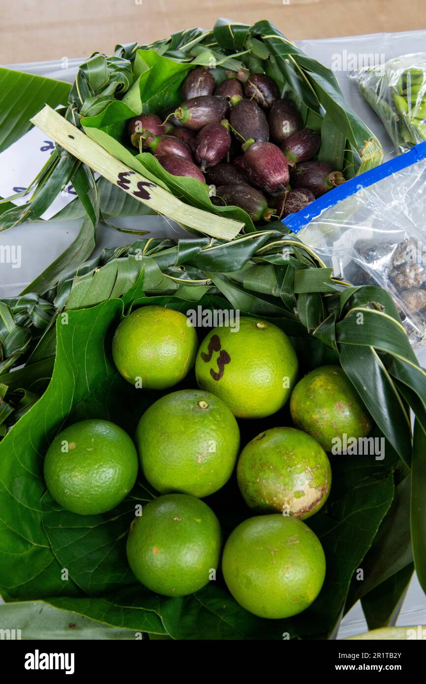 Niue, commonly known as The Rock or The Rock of Polynesia. Annual Kai ...