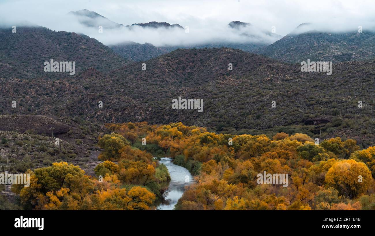 Aerial view of a stunning valley landscape, showcasing lush trees and ...