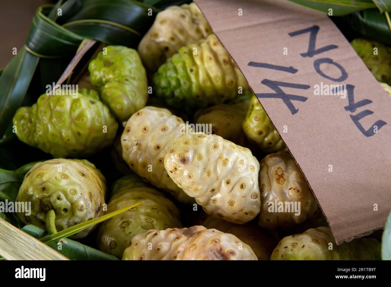 Niue, commonly known as The Rock or The Rock of Polynesia. Annual Kai ...