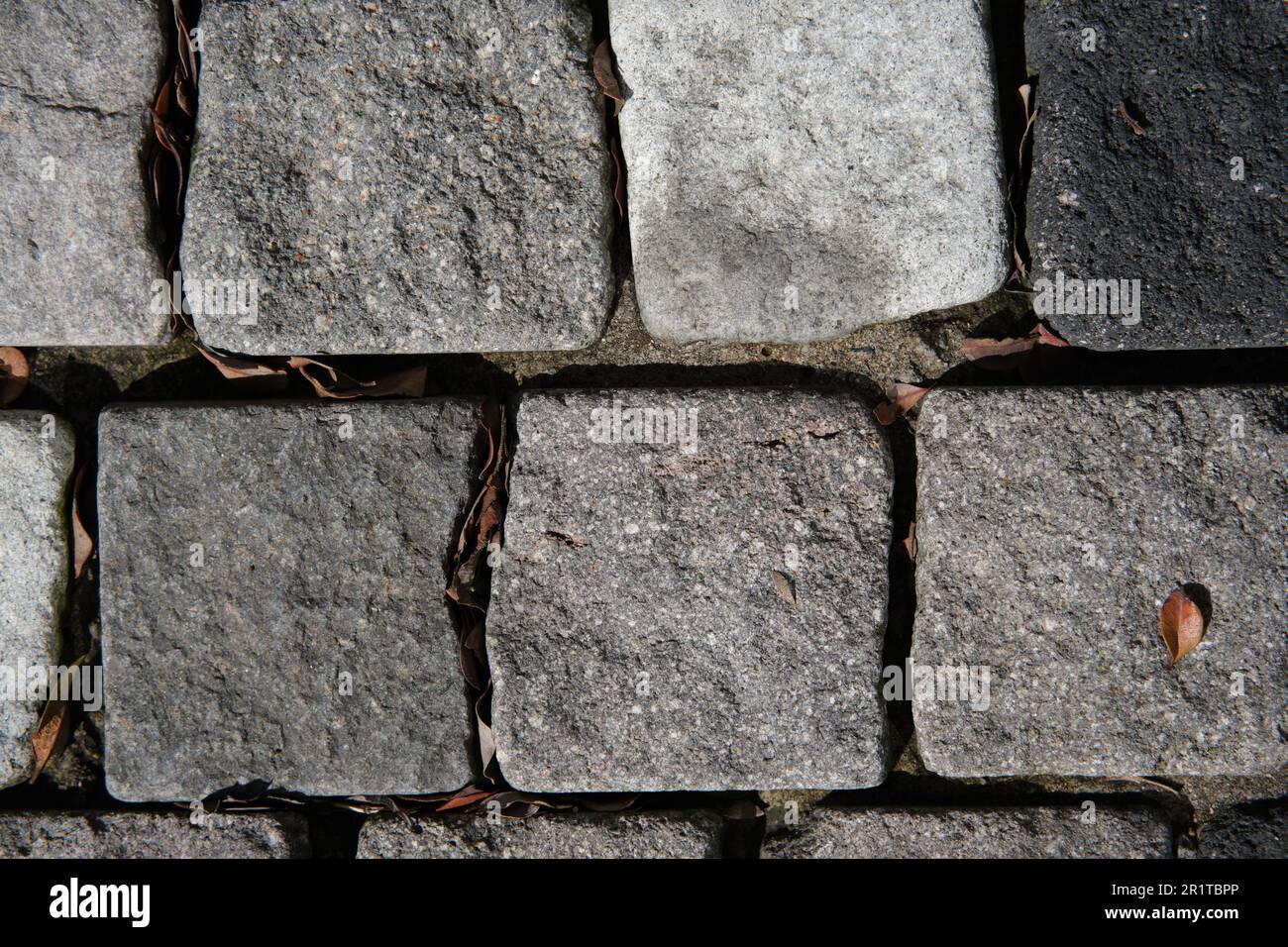 The grey stones arranged side-by-side on a flat, surface Stock Photo ...
