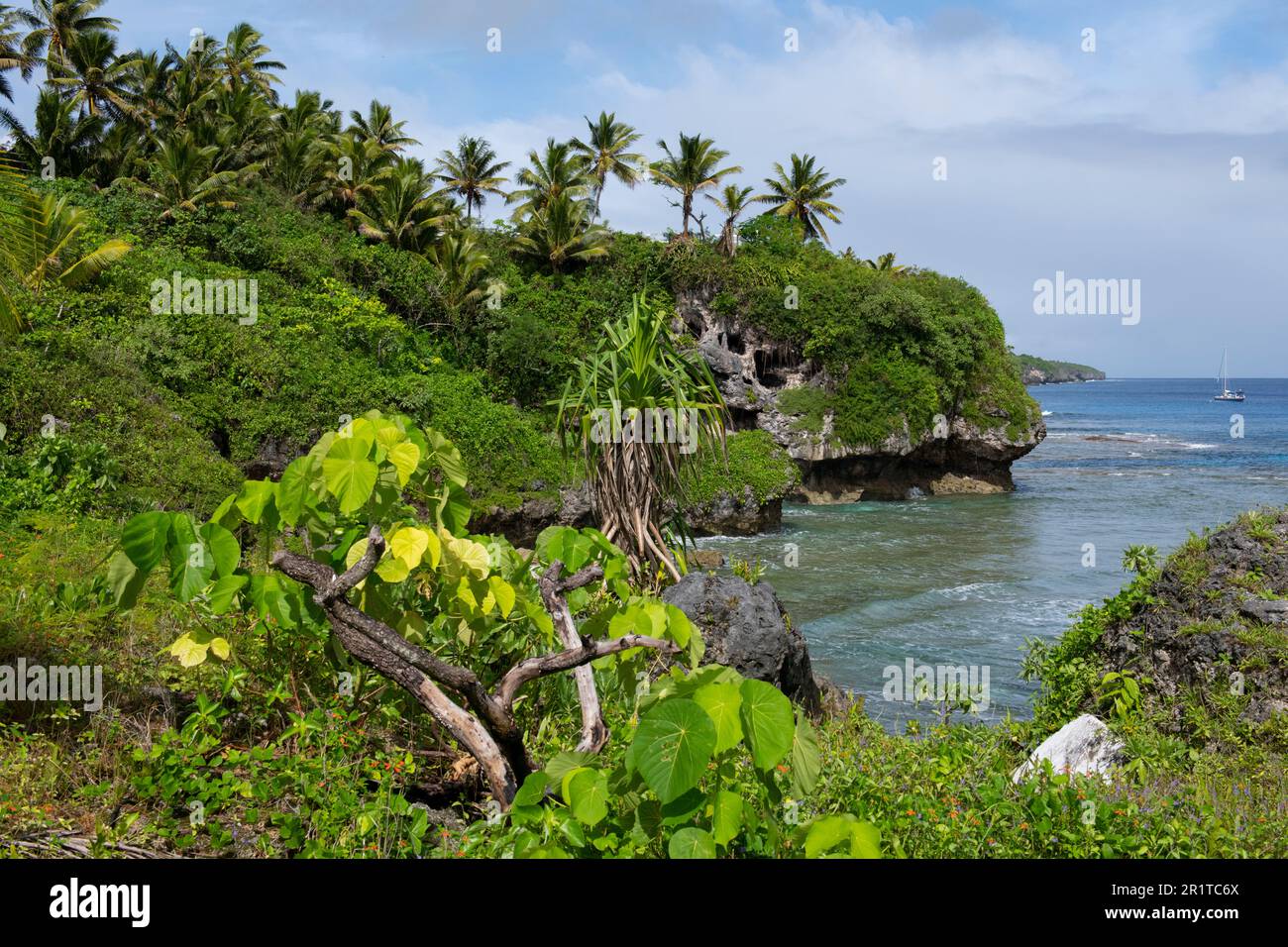 Niue, Capitol of Alofi. Coastal reef view Stock Photo - Alamy