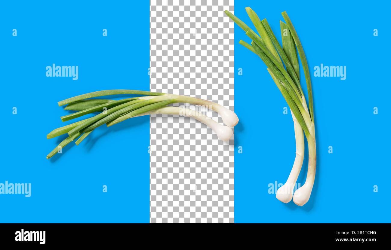 Fresh spring onions on transparent background Stock Photo - Alamy