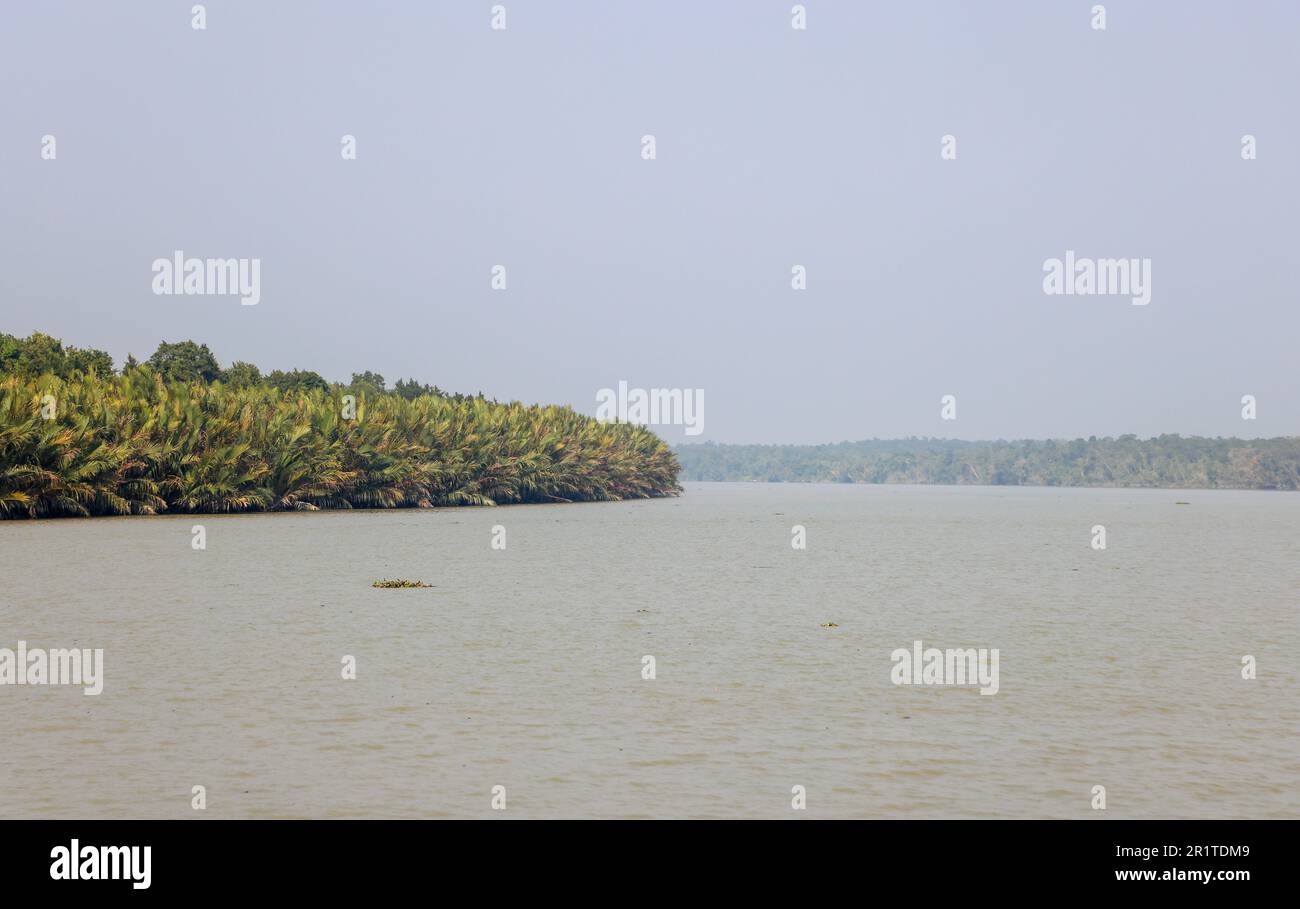 Sundarbans is a tidal wetland forest delta with an area of about 10,200 ...