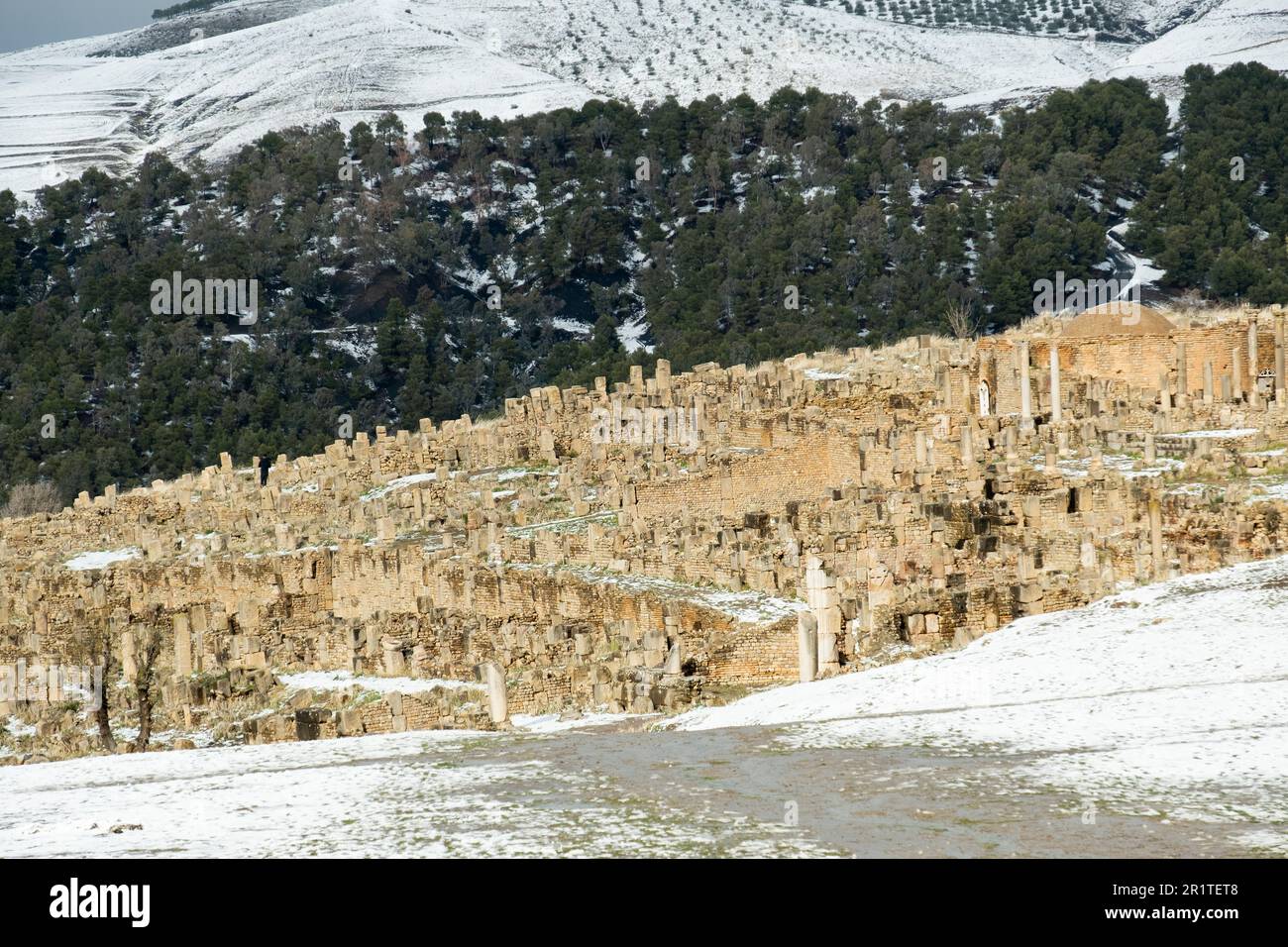View of the Djemila ruins, formerly Cuicul, a small mountain village in ...