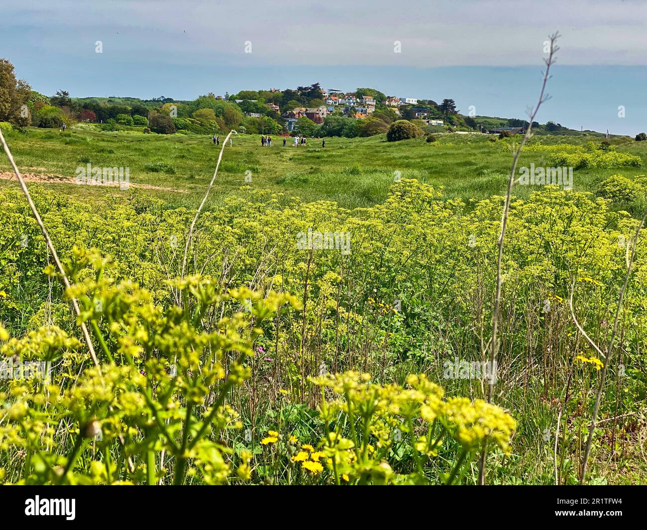 Exmouth beach east devon hi-res stock photography and images - Alamy