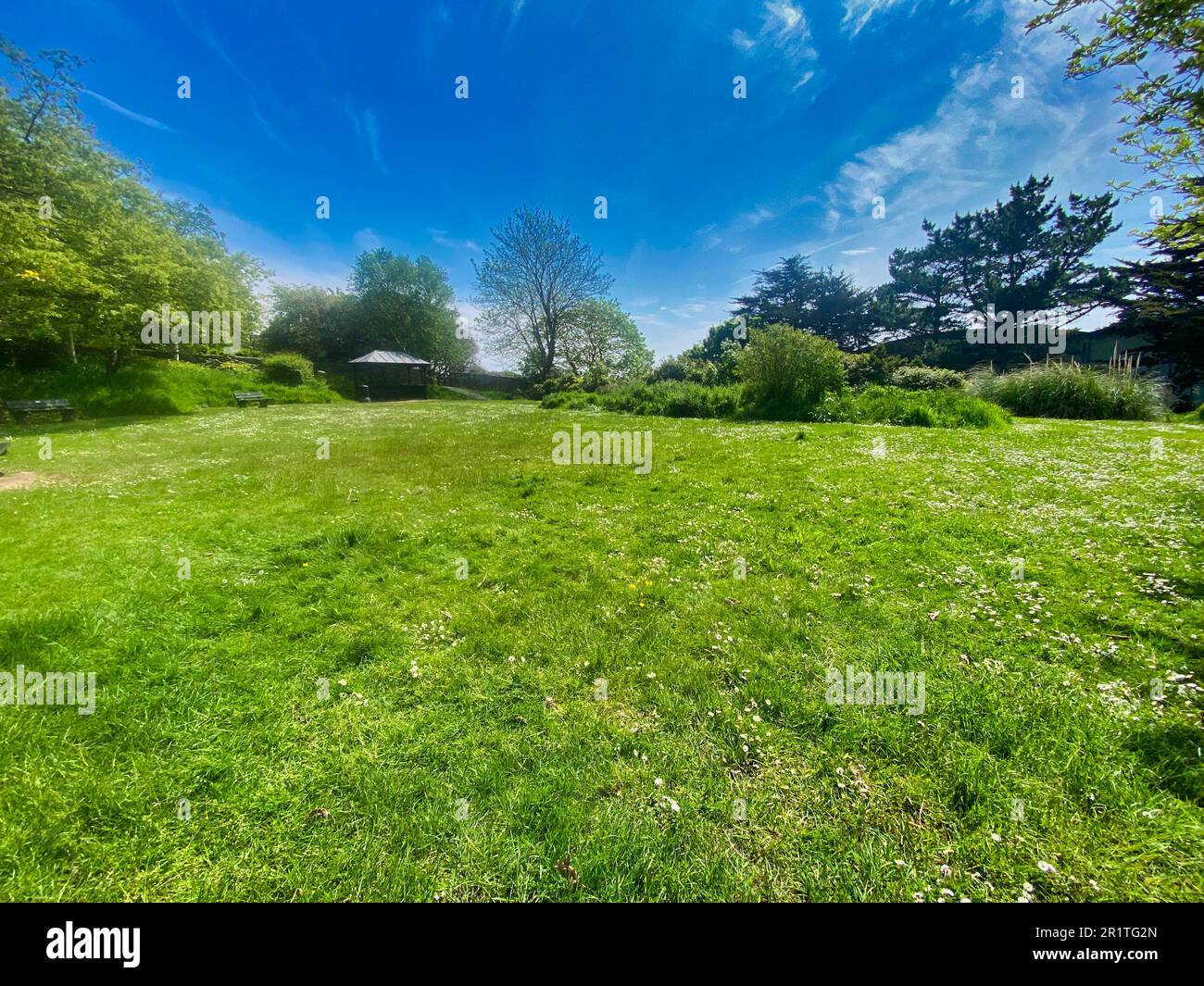 Sunny grass outdoor hi-res stock photography and images - Alamy