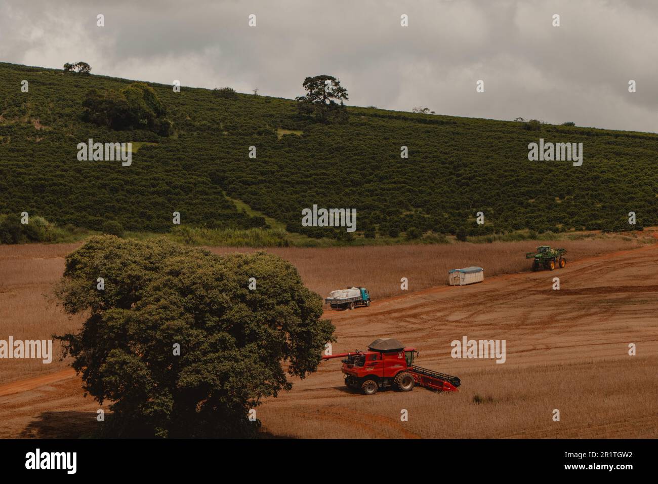 work in the field Stock Photo - Alamy