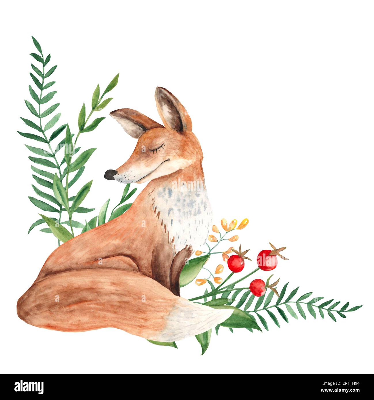 Fox with green branches, red berries and wildflowers, forest ...