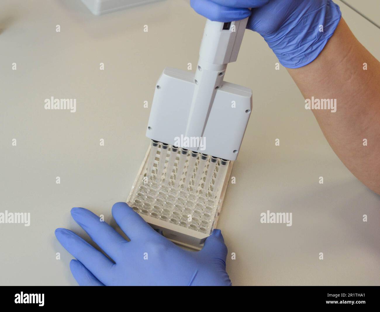 mechanical dispenser for performing laboratory tests. tips for ...