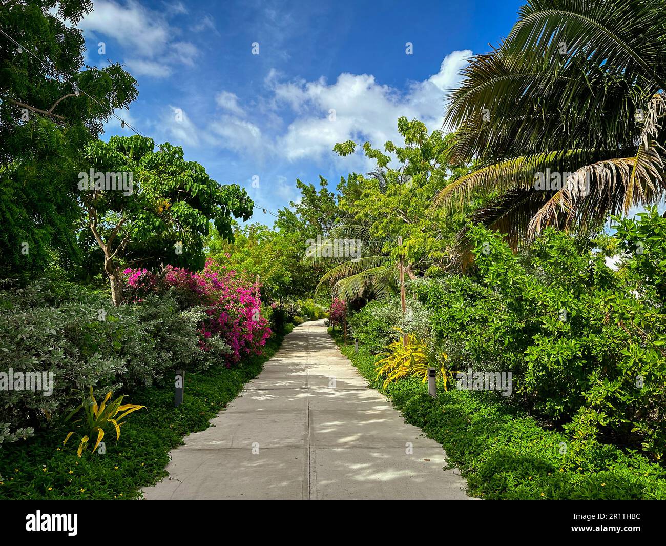 View of a path with a lush vegetation leading to Camana Bay, a ...