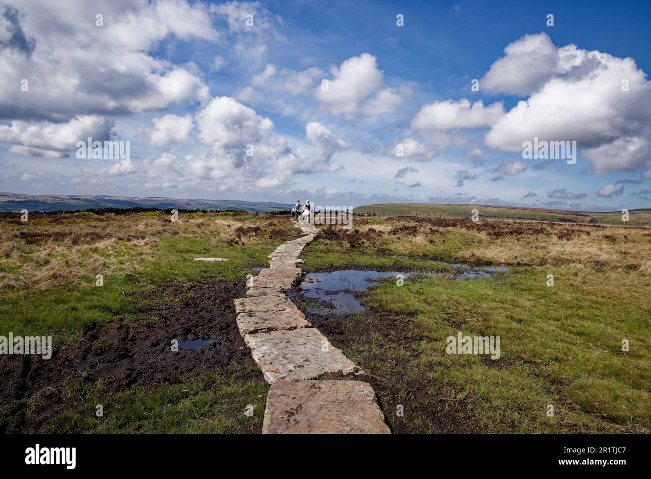The holcombe family hi-res stock photography and images - Alamy