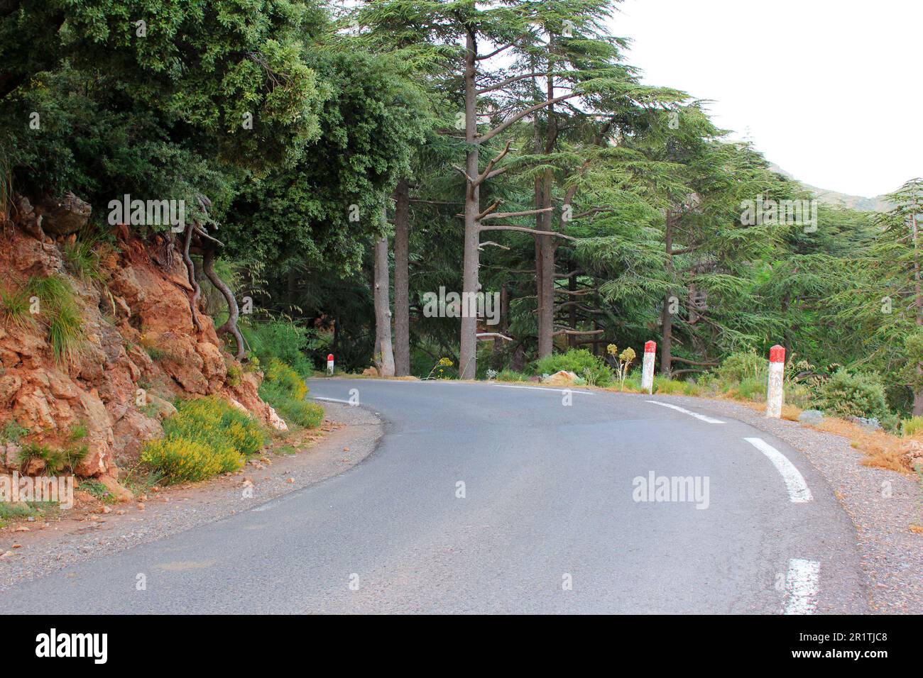 Mountain road. Near Tikjda ski resort, Djurdjura mountain range, north ...