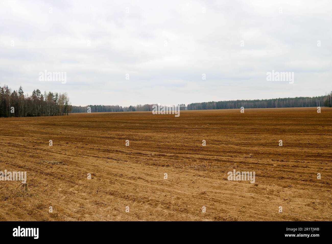 Landscape field, brown dug up land with beds, furrows for plowing ...