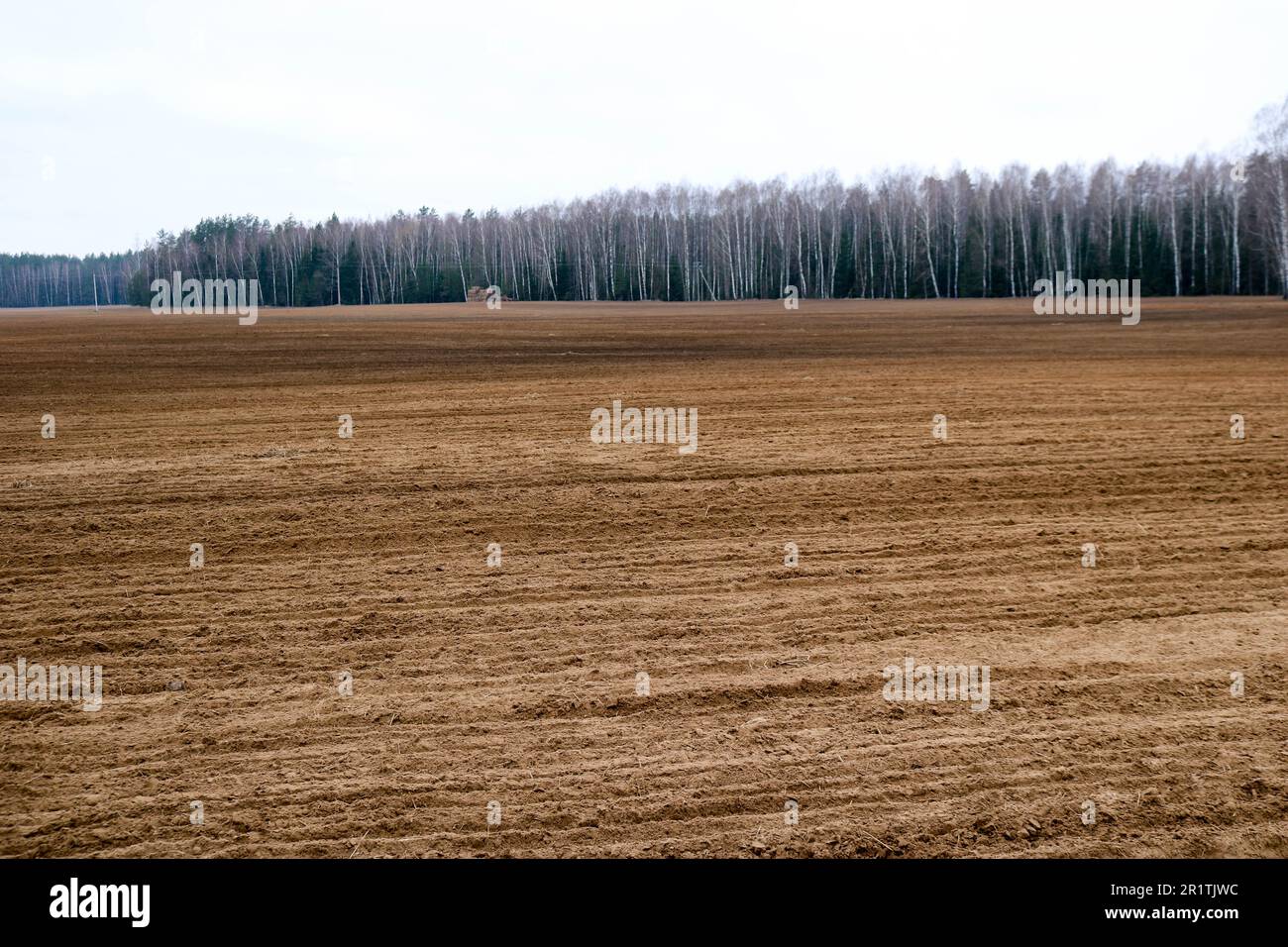 Landscape field, brown dug up land with beds, furrows for plowing ...
