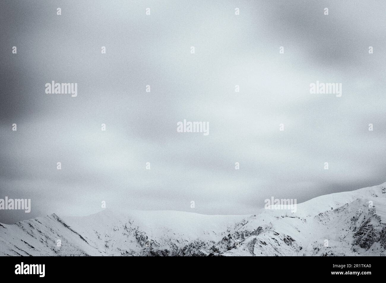 Luca prestia hi-res stock photography and images - Alamy