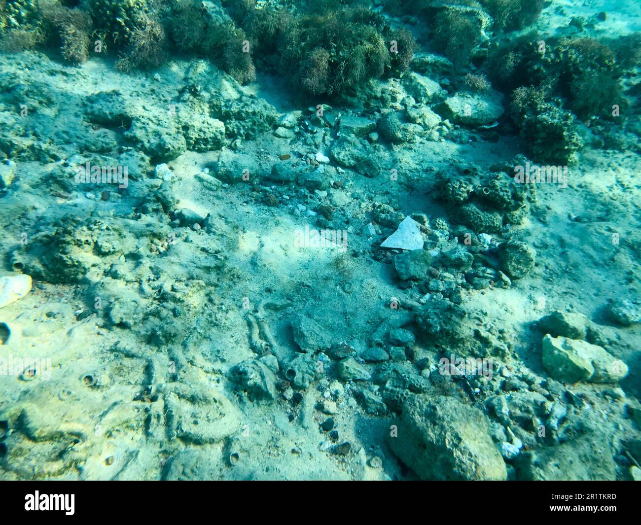 Seabed sand stones in clear hi-res stock photography and images - Alamy