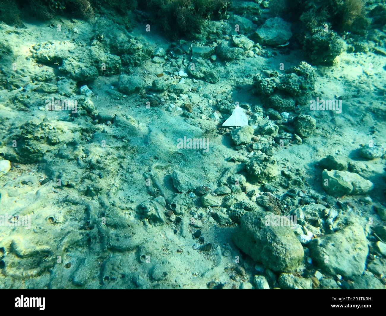 Underwater Ground Texture