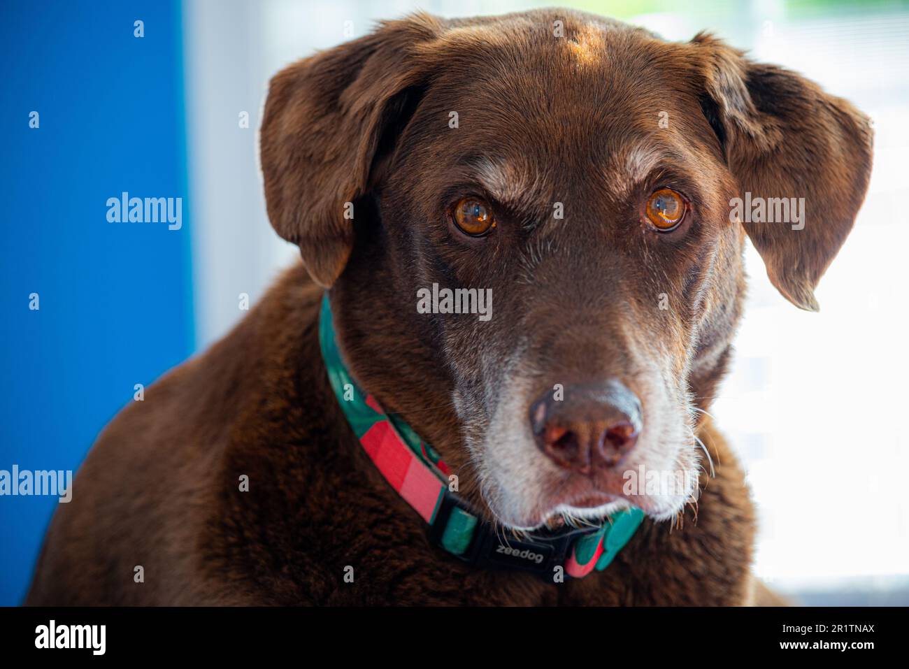Friendly demeanor hi-res stock photography and images - Alamy