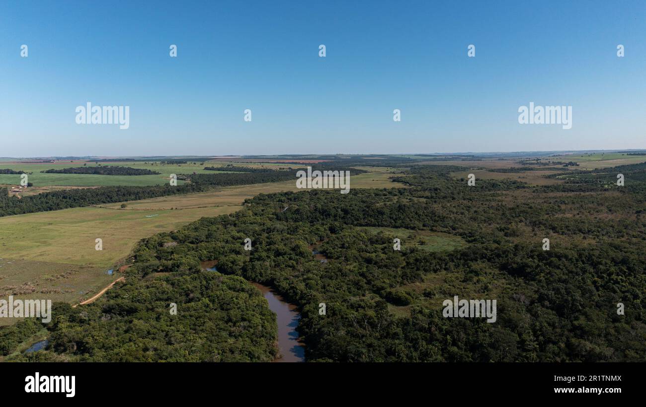 aerial view of the Jacare Pepira River and riparian forest, in a ...
