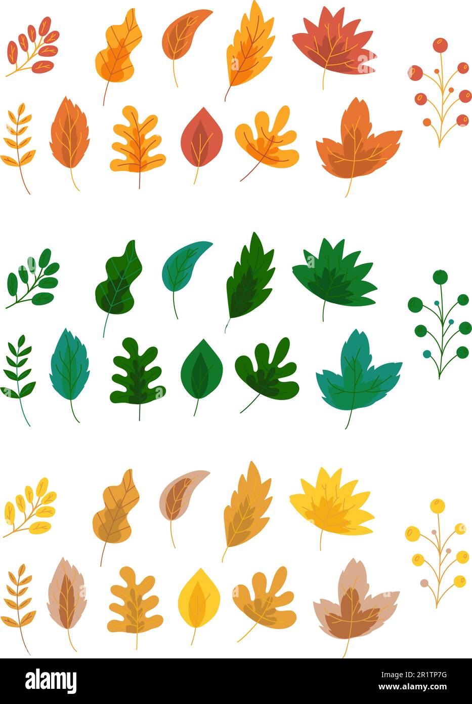 Autumn leaves colorful compositions, vector illustrations set. Cartoon ...
