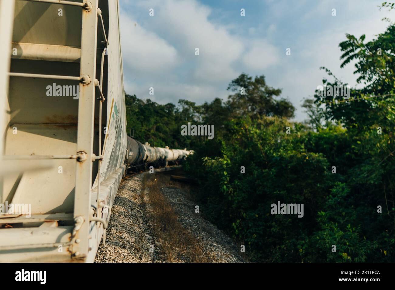 The freight train passes by the forest. Wagons with goods delivery ...