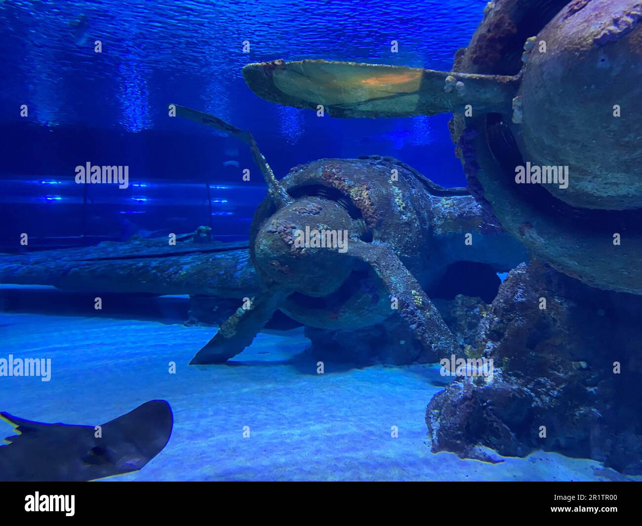 Japanese Hellcat Wreck, Solomon Islands Stock Photo - Alamy