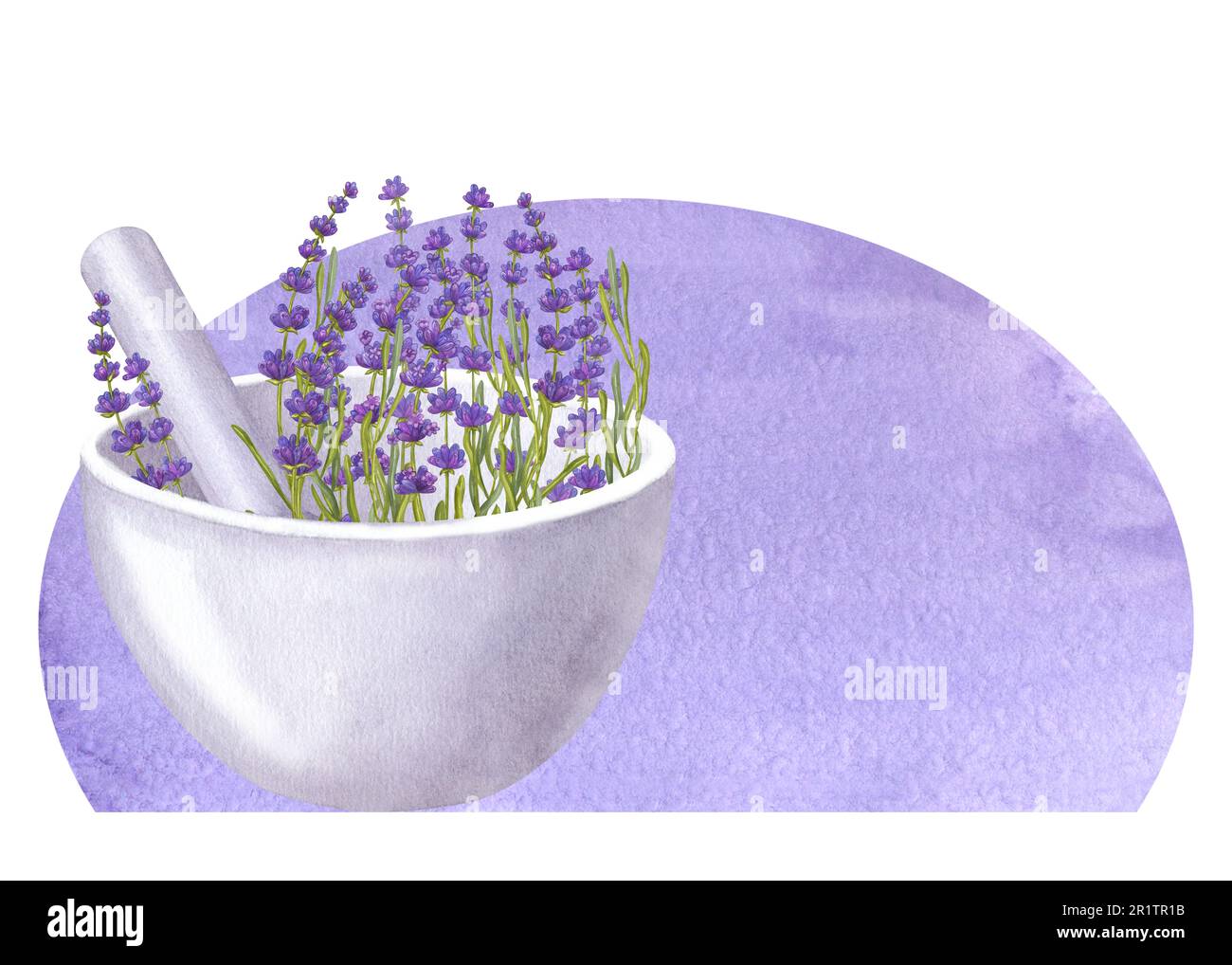 White mortar with lavender . Bowl and pestle. Aromatherapy, spa, bath. Hand draw watercolor ...