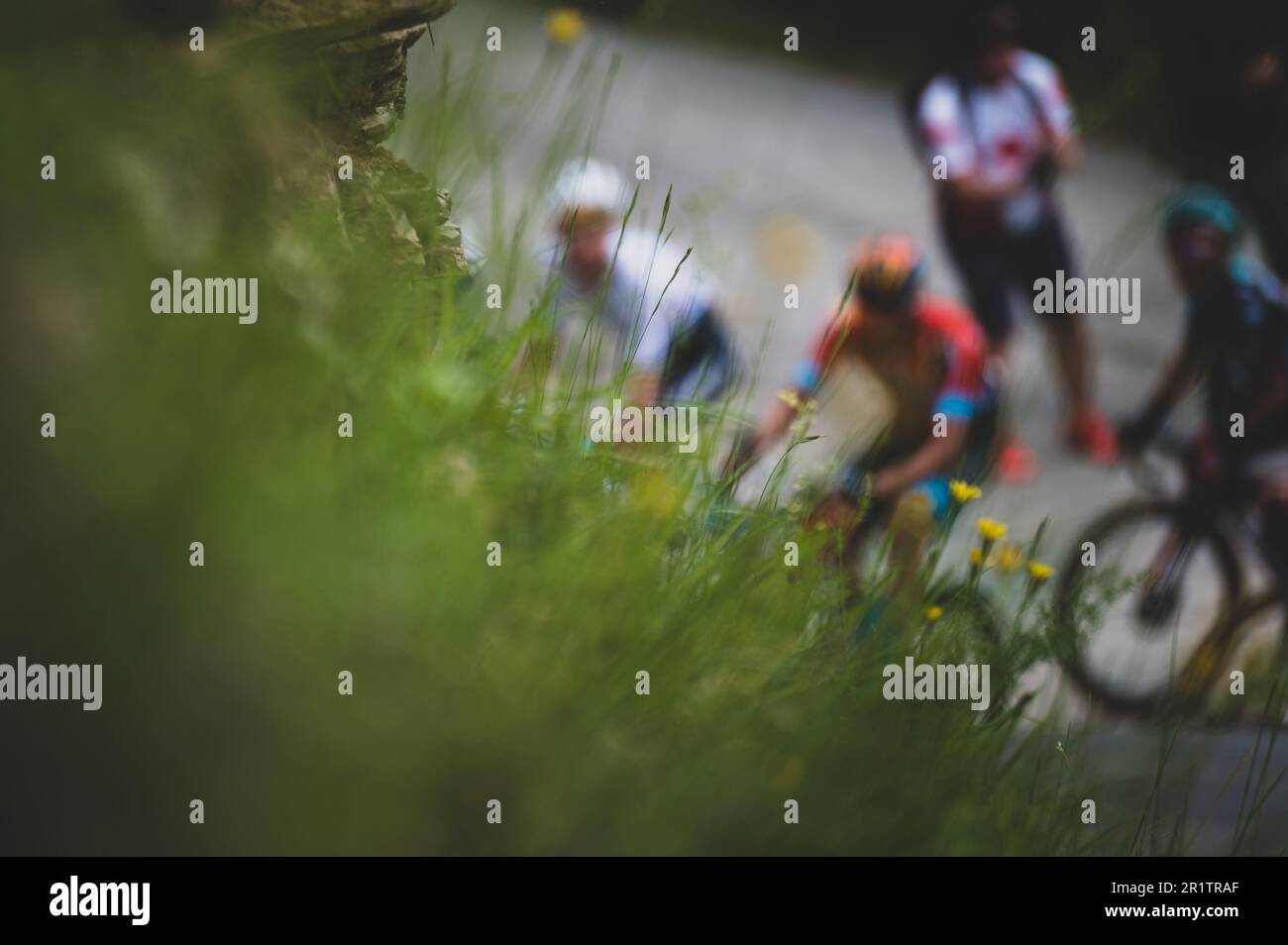 Italy, May 13, 2023: professional cyclists face the eighth stage of the ...