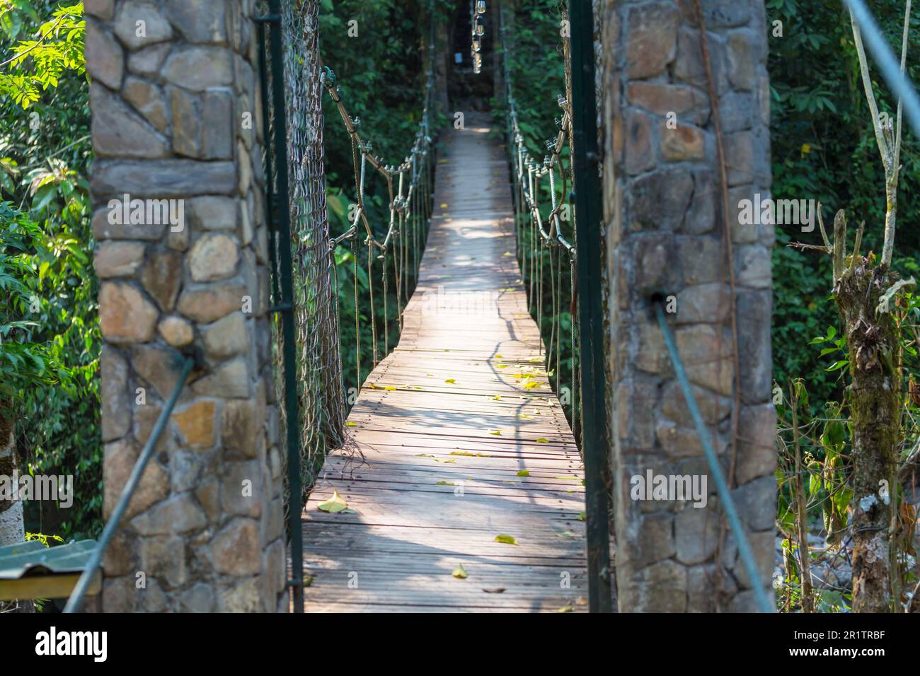 Suspension bridge in tropical jungle Stock Photo - Alamy