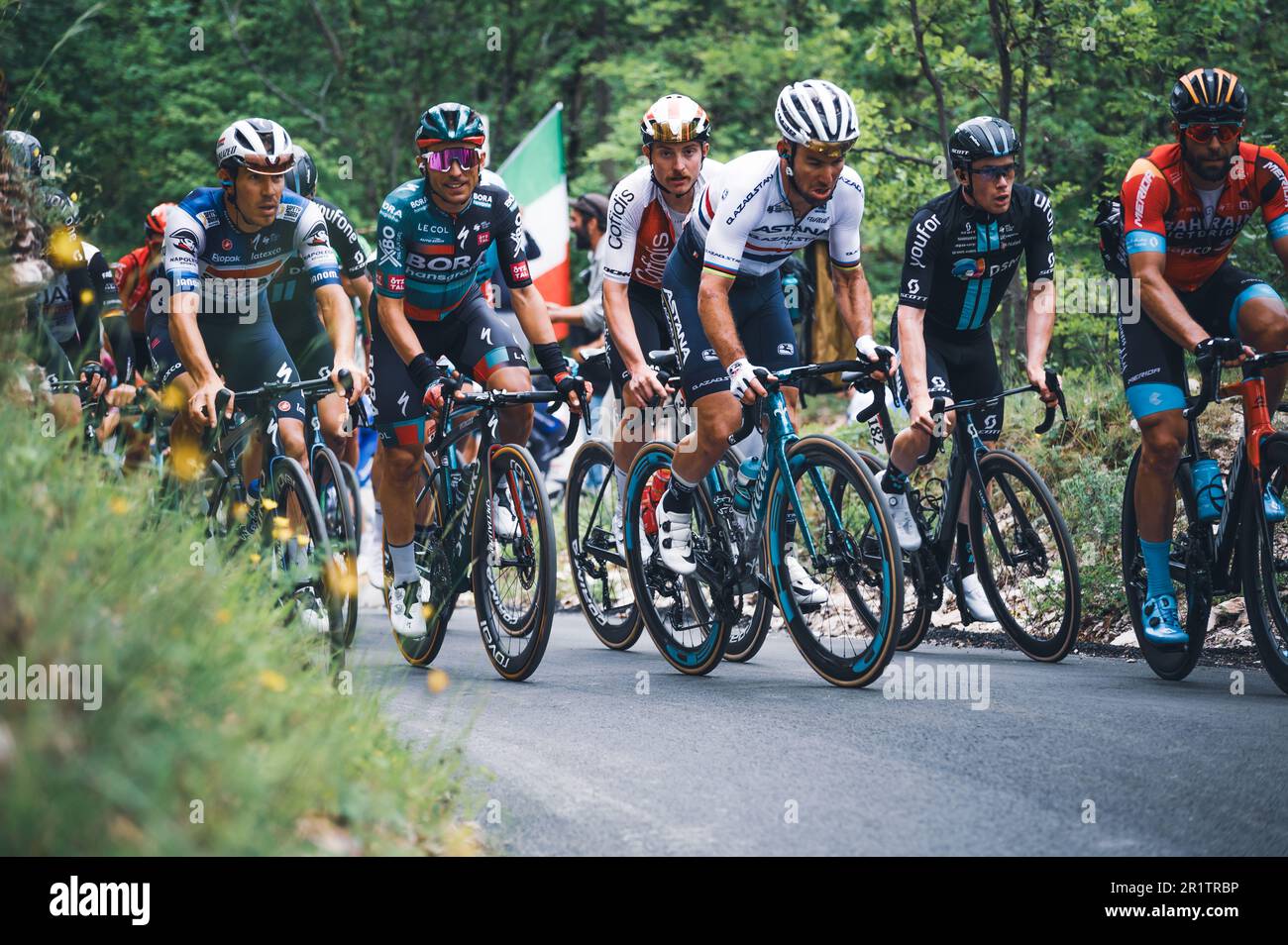 Italy, May 13, 2023: professional cyclists face the eighth stage of the ...