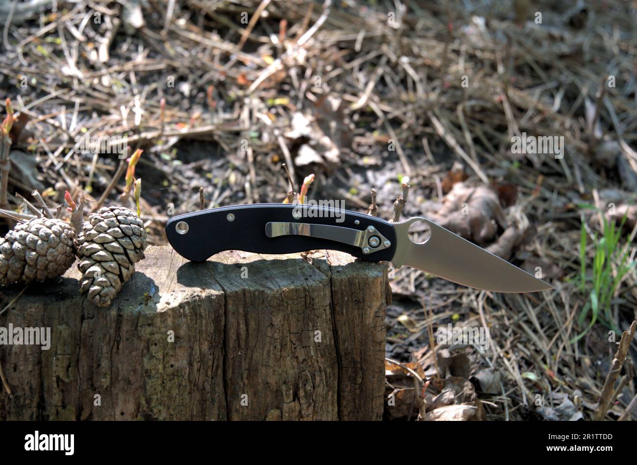 Folding knife beautiful design cutting silver edge black carbone fiber ...