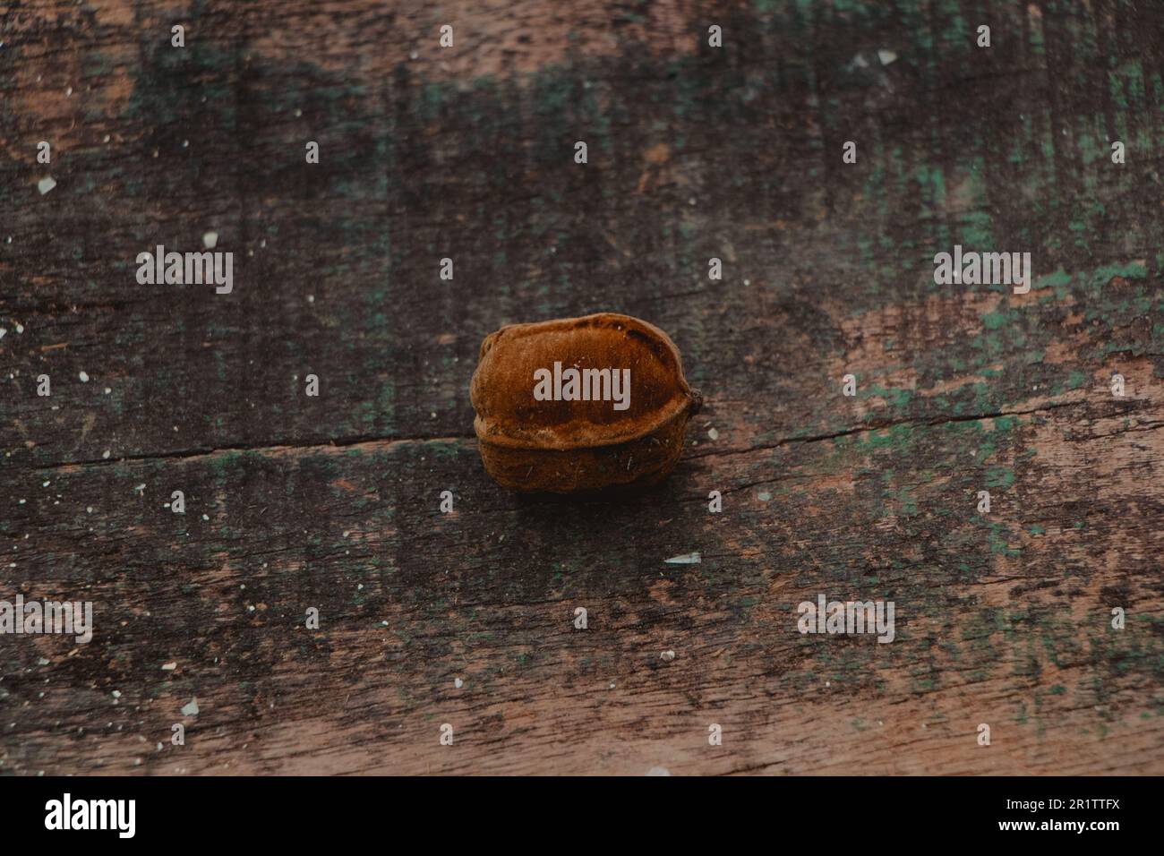 closeup of a raw and unpeeled nutshell Stock Photo - Alamy